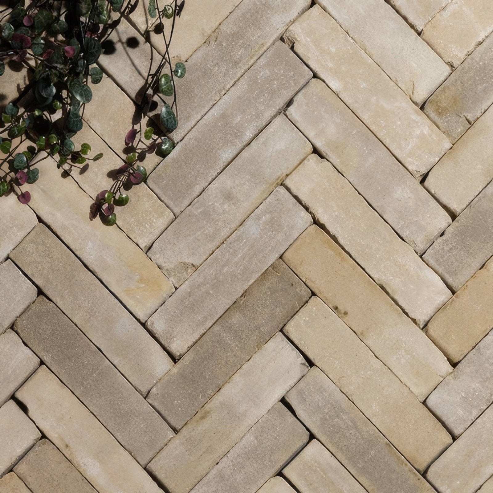 Flanders Buff Tumbled Clay Pavers for Durable Flooring