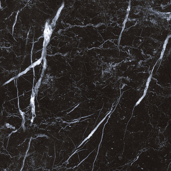 Portare Butler Porcelain Marquina from Hyperion Tiles